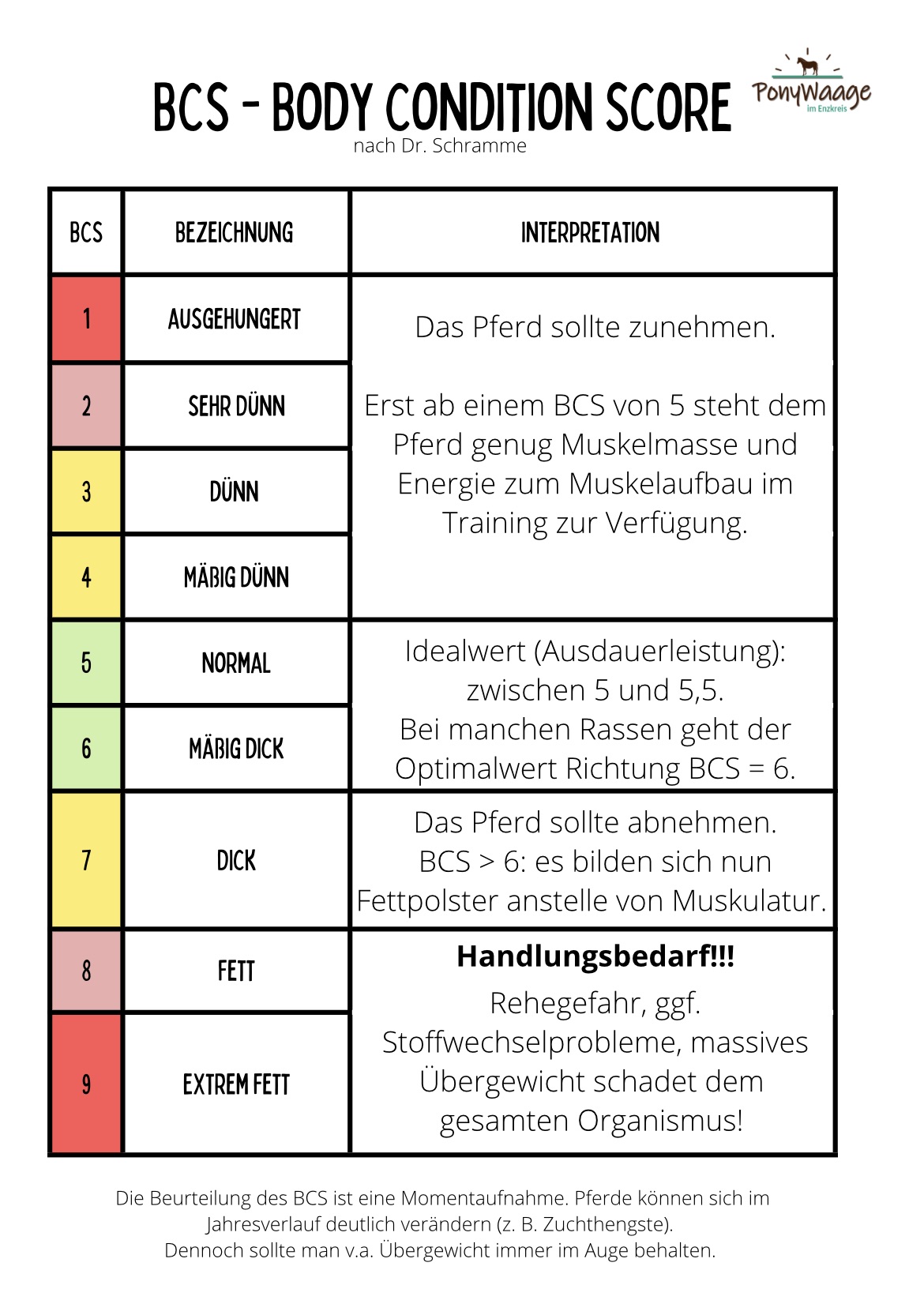 BCS | PonyWaage - Mobile Pferdewaage Im Enzkreis, Baden-Württemberg